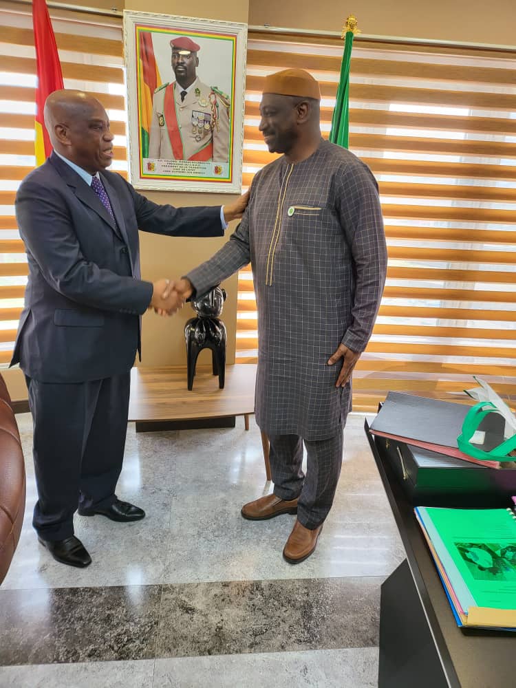 The Guinean Minister of Foreign Affairs receives the Secretary General ...